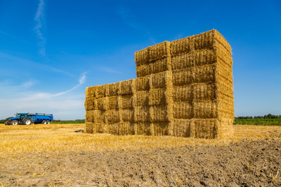 Klaar voor een huisje van stro? - Inspiratie voor wonen, bouwen en ...